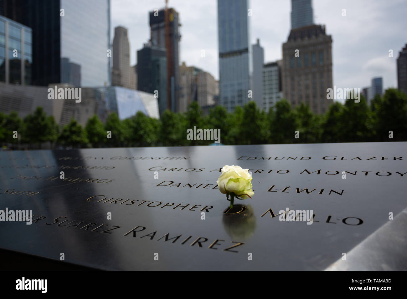 Reflecting absence memorial -Fotos und -Bildmaterial in hoher Auflösung ...