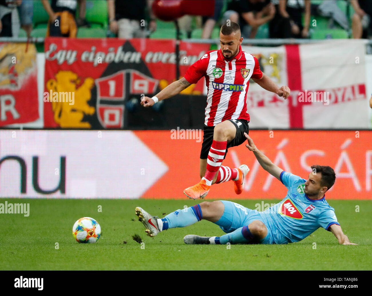 Filip nikolov -Fotos und -Bildmaterial in hoher Auflösung – Alamy