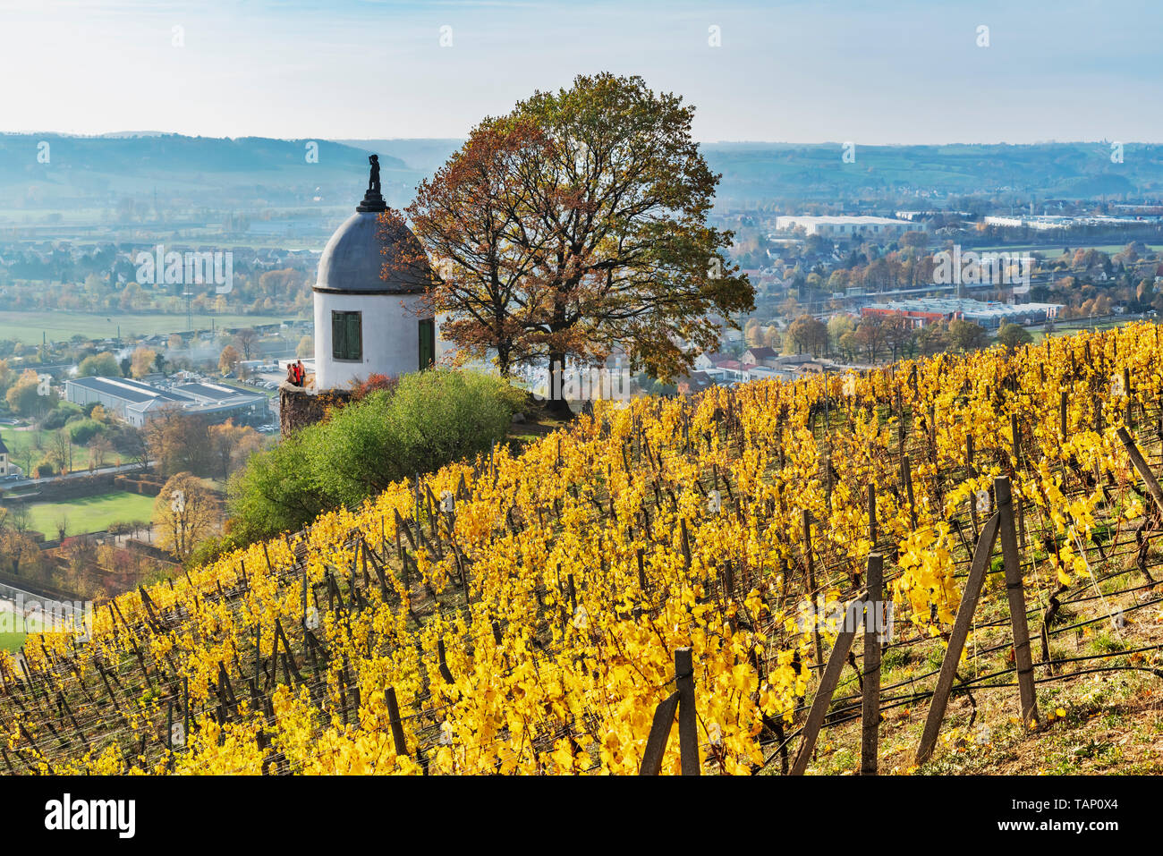 Historische weinberglandschaft radebeul -Fotos und -Bildmaterial in ...