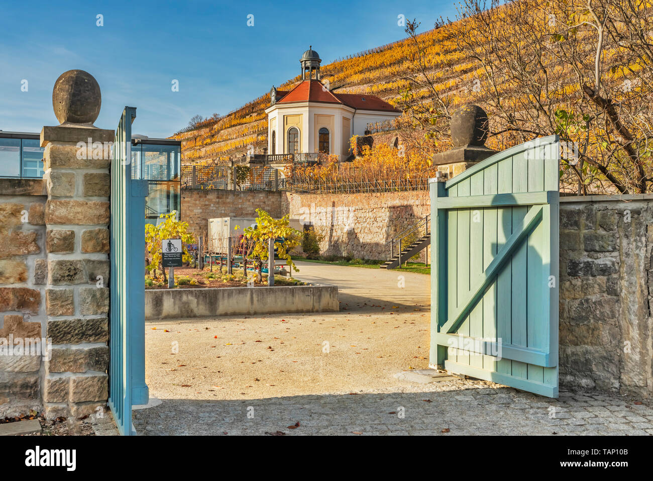 Das Belvedere ist ein Teil der Gärten von Schloss Wackerbarth ...