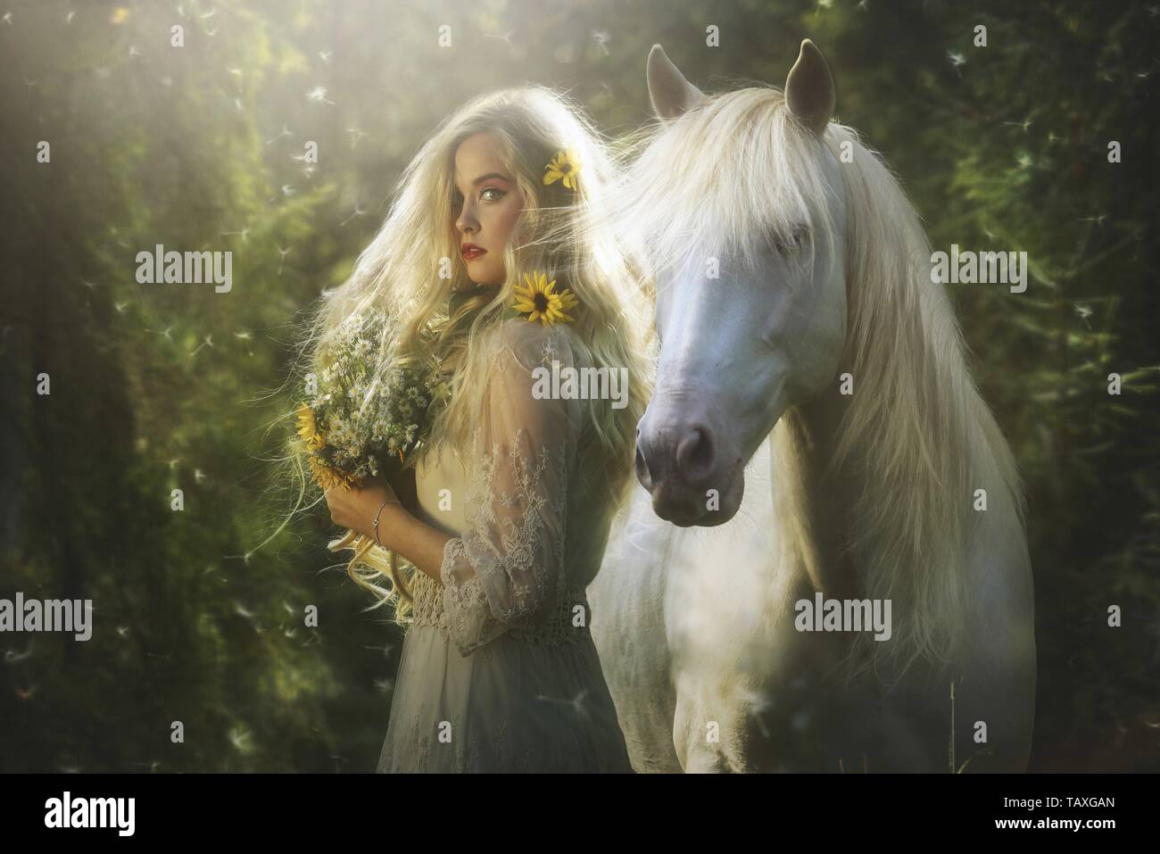 Ein fabelhaftes pferd -Fotos und -Bildmaterial in hoher Auflösung – Alamy