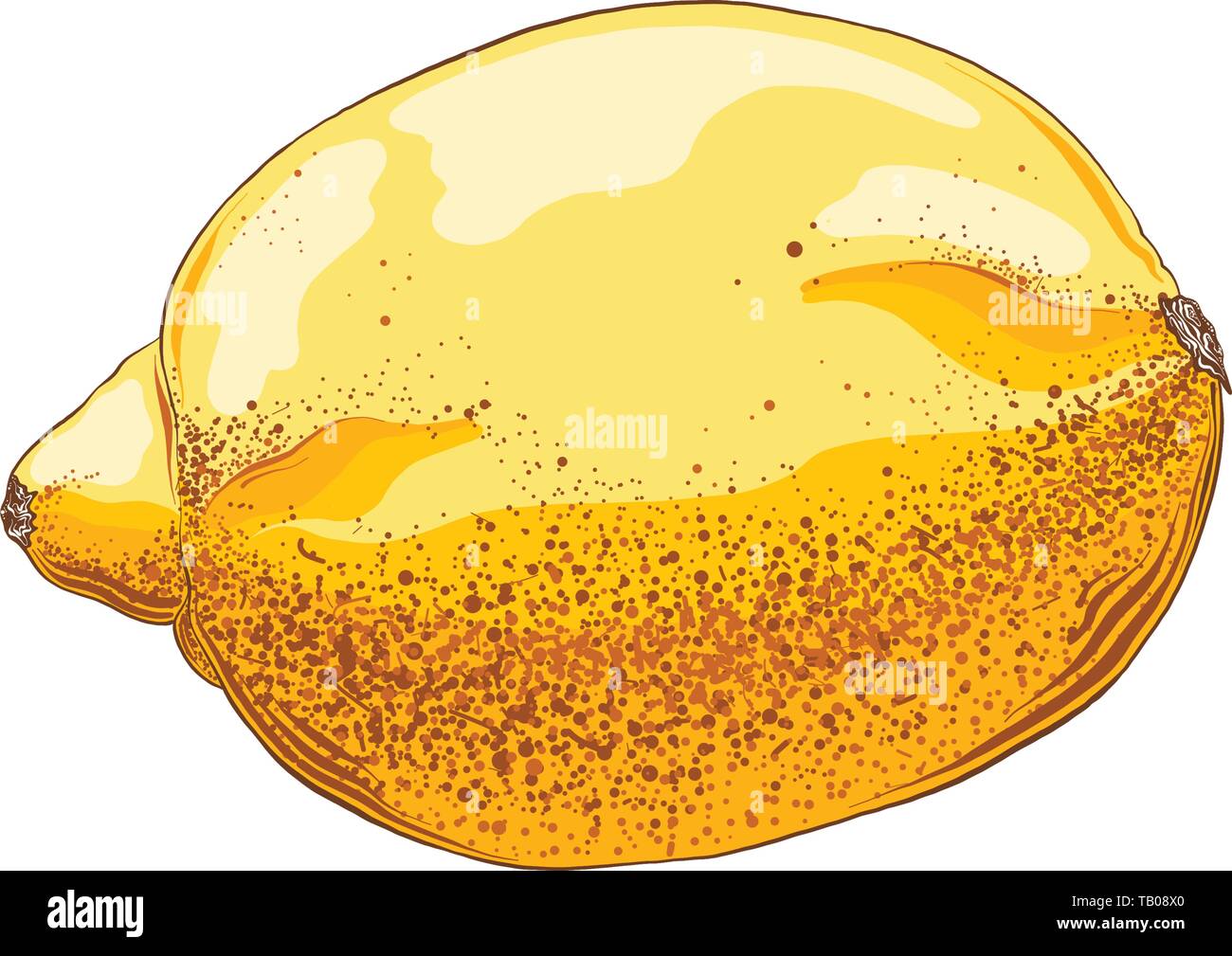 Hand gezeichnete Skizze der Zitrone in Farbe. Auf weissem Hintergrund ...