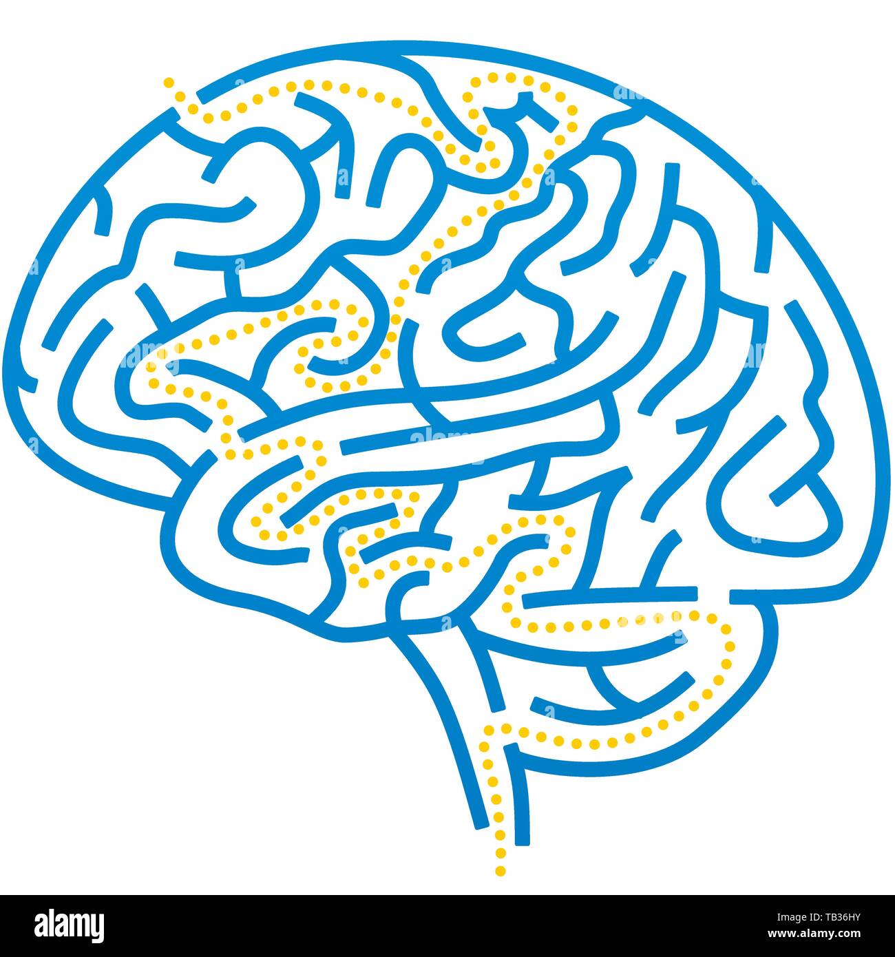 Brain labyrinth -Fotos und -Bildmaterial in hoher Auflösung – Alamy