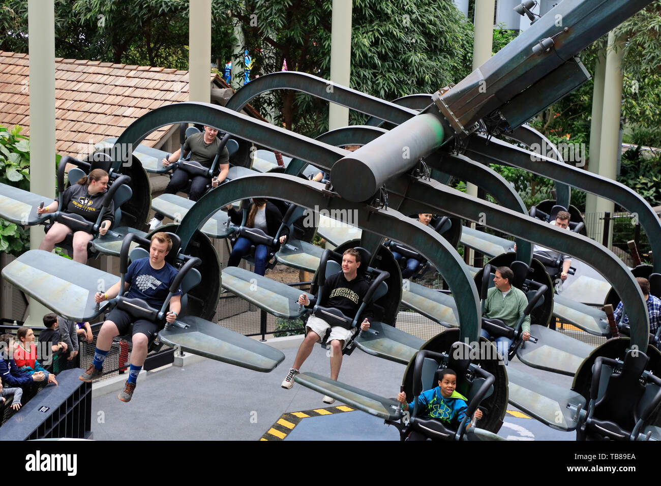 Teenage mutant ninja turtles shell schock -Fotos und -Bildmaterial in ...