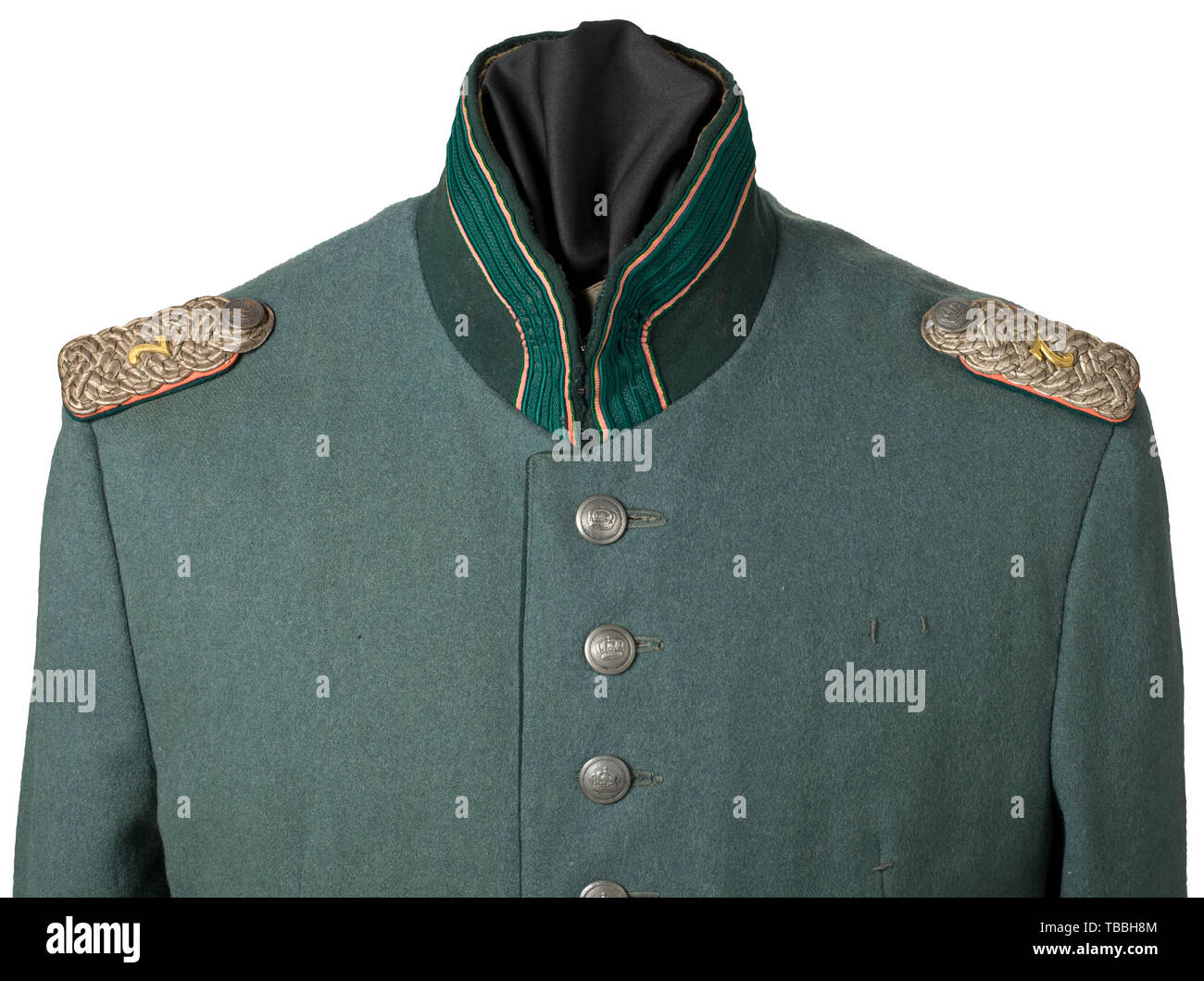 Grüne zierleisten -Fotos und -Bildmaterial in hoher Auflösung – Alamy