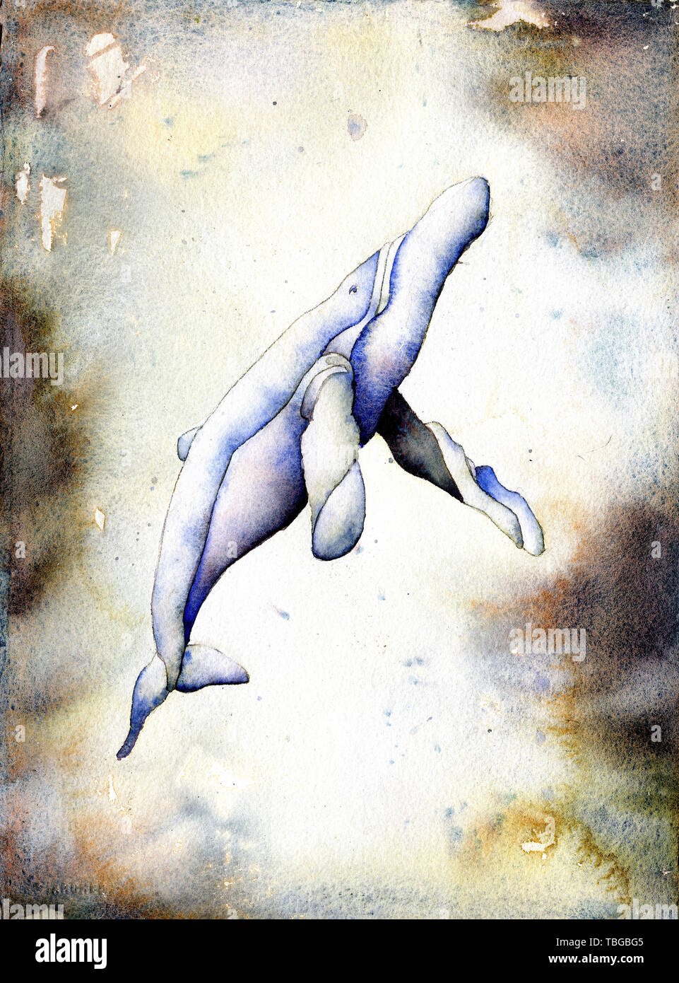 Fine art watercolor paintings -Fotos und -Bildmaterial in hoher ...