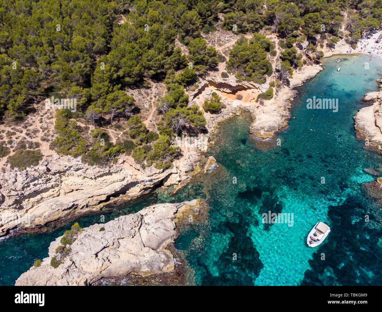 Cala bella donna -Fotos und -Bildmaterial in hoher Auflösung – Alamy