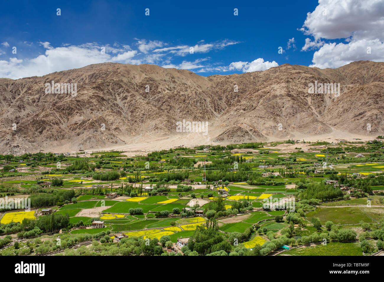 Indus tal antike stadt -Fotos und -Bildmaterial in hoher Auflösung – Alamy