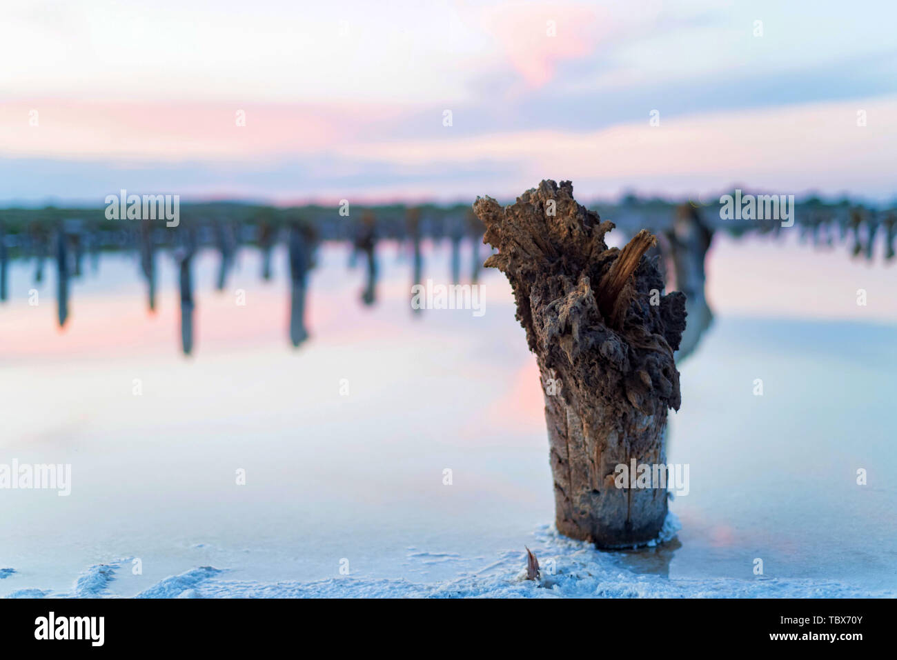 Astrachan region -Fotos und -Bildmaterial in hoher Auflösung – Alamy