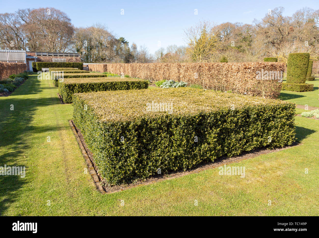 Garten von Piet Oudolf an Scampston Hall, Yorkshire, England, UK ...