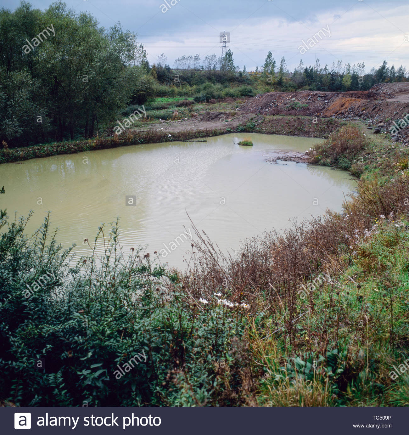 Polluted Lagoon Stockfotos & Polluted Lagoon Bilder - Alamy