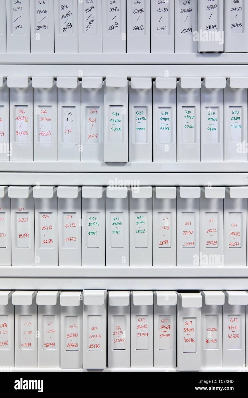 Uterus and cervix -Fotos und -Bildmaterial in hoher Auflösung – Alamy