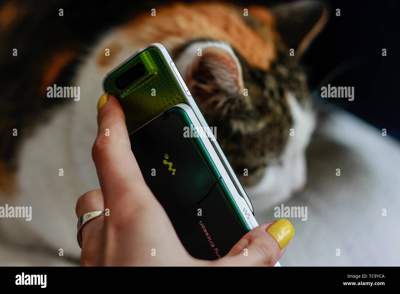 Schieberegler telefon -Fotos und -Bildmaterial in hoher Auflösung – Alamy