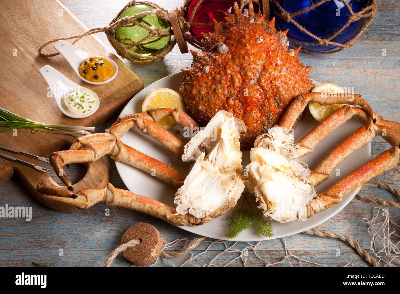 Rohe Seespinne Stockfotos und -bilder Kaufen - Alamy