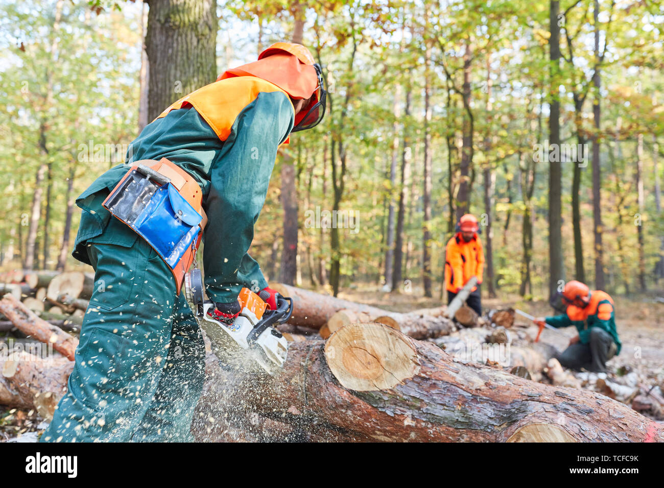 Waldarbeiter sägen -Fotos und -Bildmaterial in hoher Auflösung – Alamy