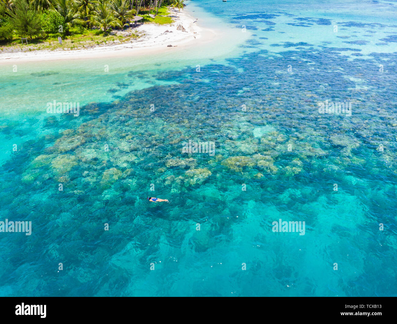 Schnorcheln insel molukken -Fotos und -Bildmaterial in hoher Auflösung ...