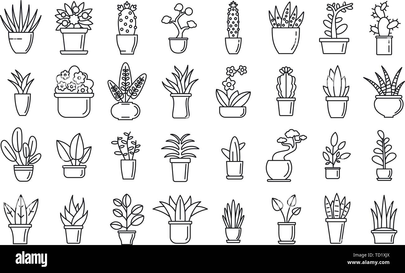 Houseplants flower Symbole gesetzt. Umrisse von zimmerpflanzen Blumen ...