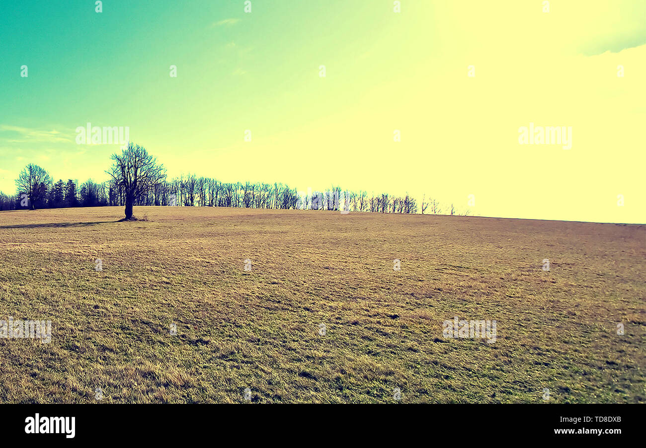 Struktur der erde -Fotos und -Bildmaterial in hoher Auflösung - Seite 4 - Alamy