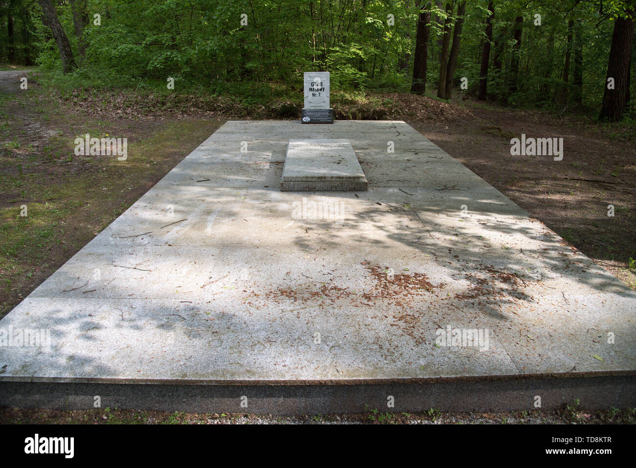 Tannenberg memorial -Fotos und -Bildmaterial in hoher Auflösung – Alamy