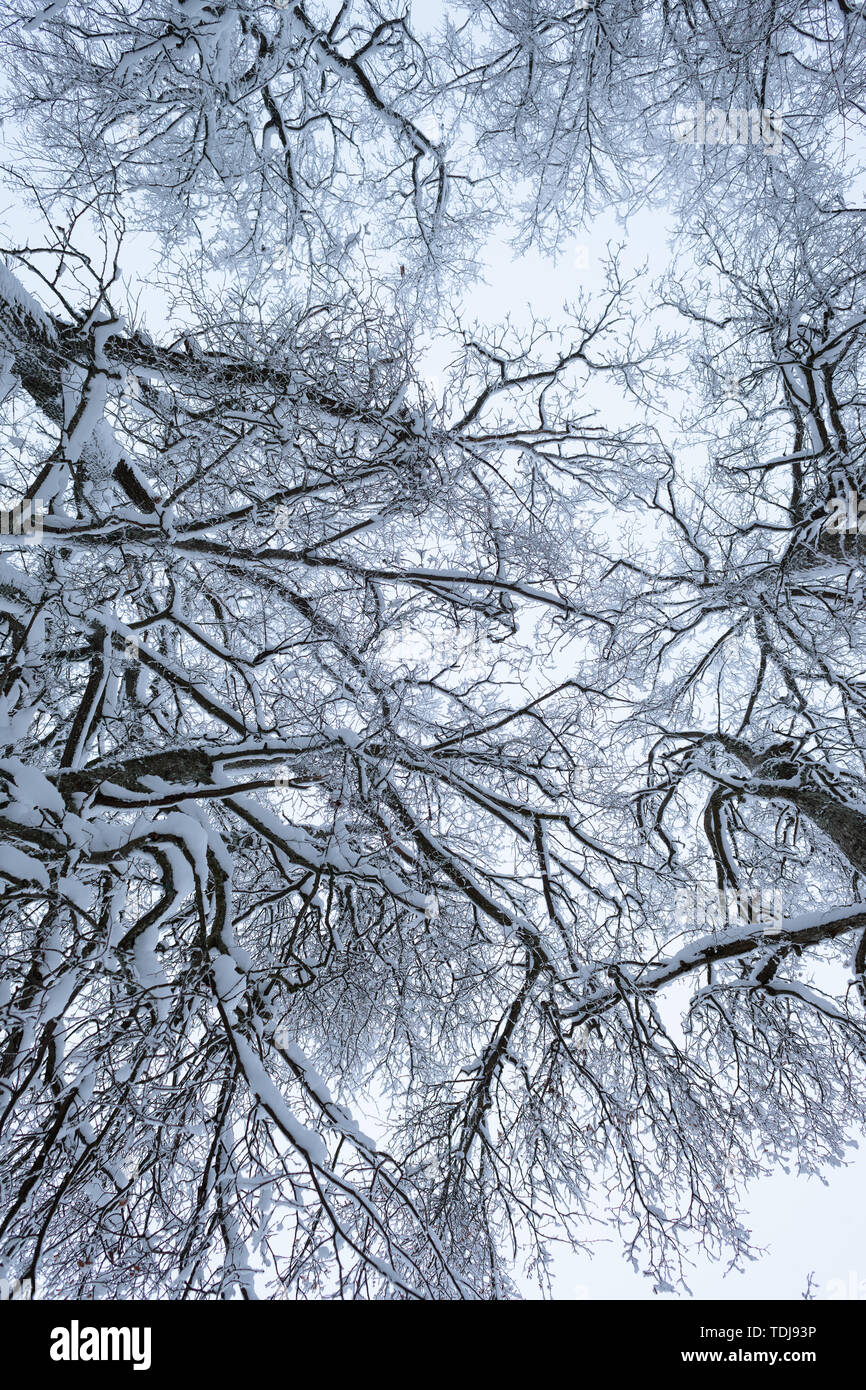 Russland winter schnee -Fotos und -Bildmaterial in hoher Auflösung – Alamy