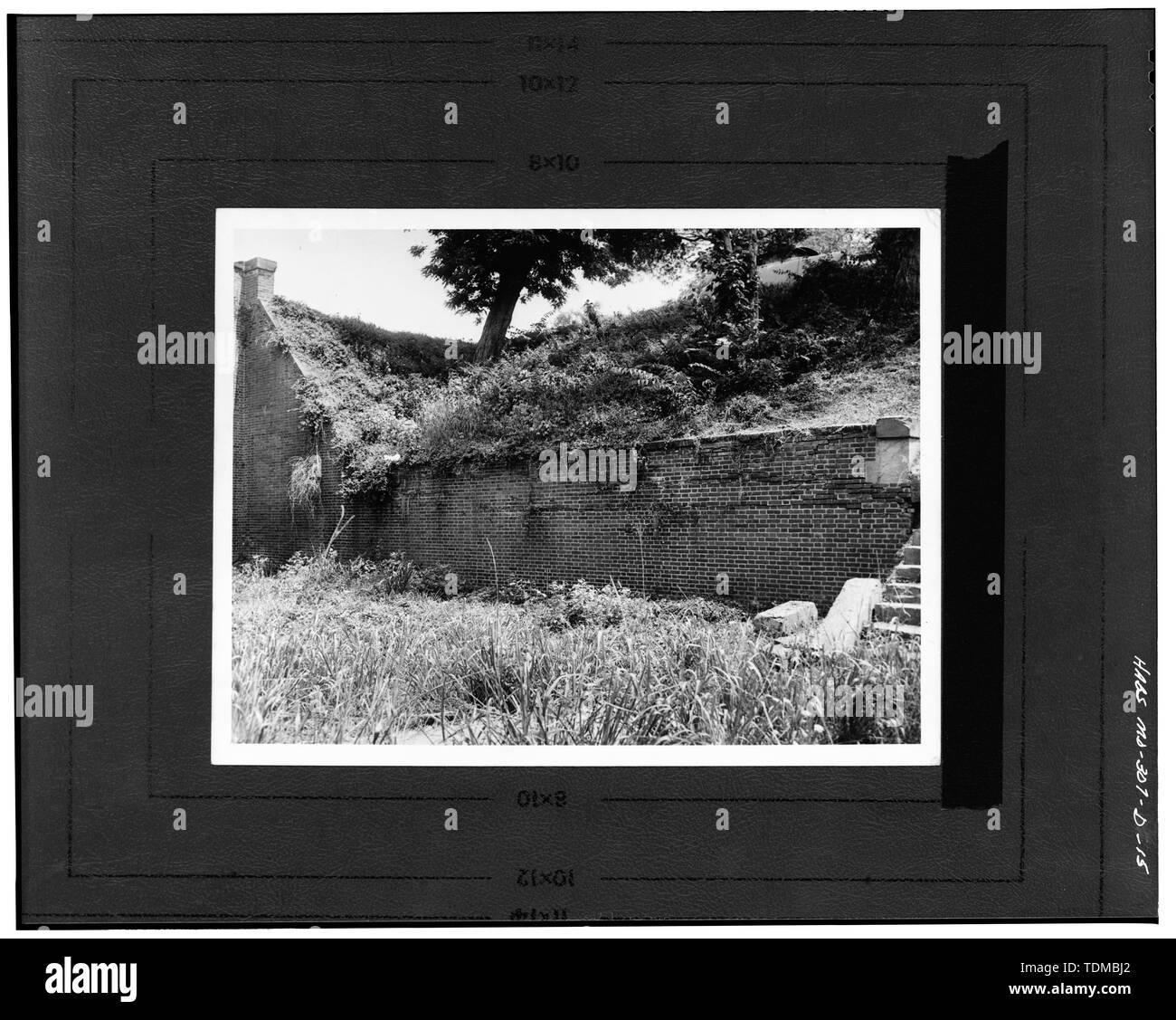Adam bittner -Fotos und -Bildmaterial in hoher Auflösung – Alamy