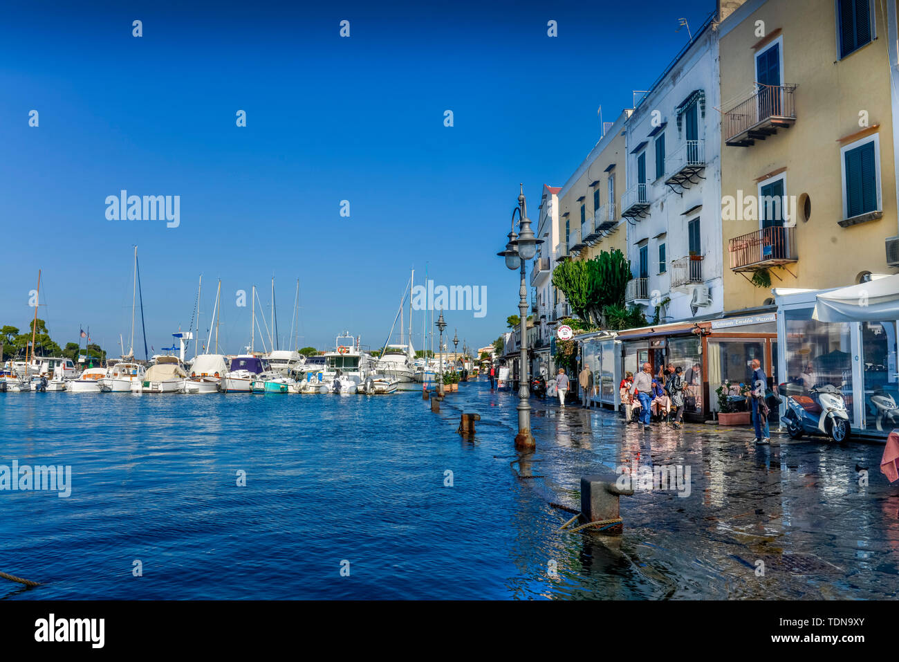 Hafen, Ischia, Insel Ischia, Italien Stockfotografie - Alamy