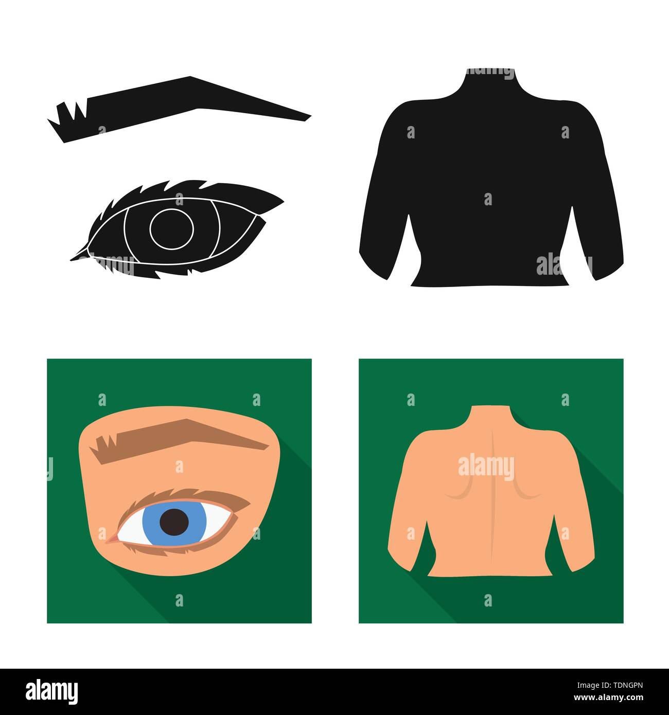 Vector Illustration von Körper und Symbol. Satz von Körper und Anatomie ...