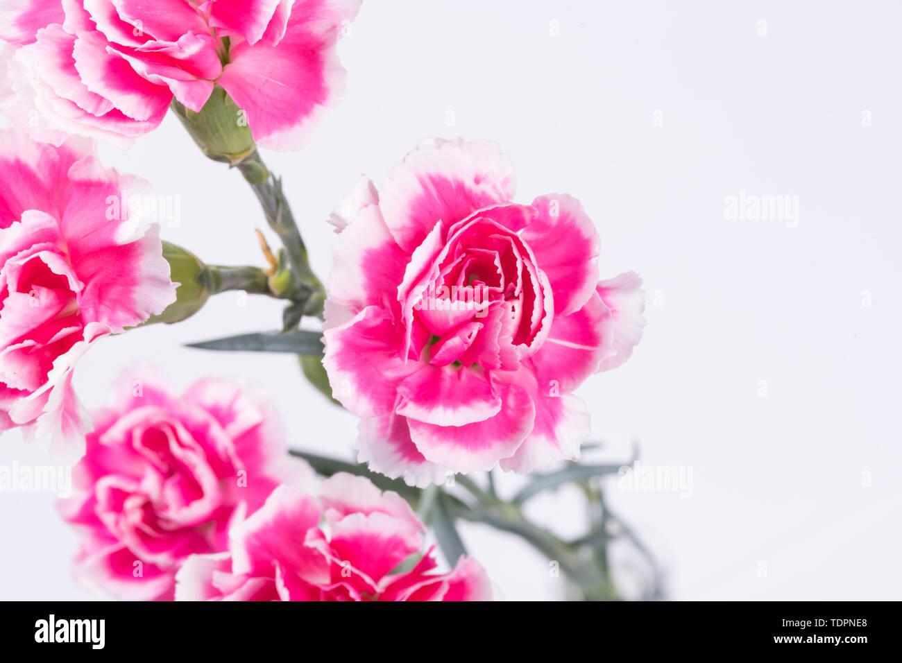 Mütter tag geschenke -Fotos und -Bildmaterial in hoher Auflösung ...