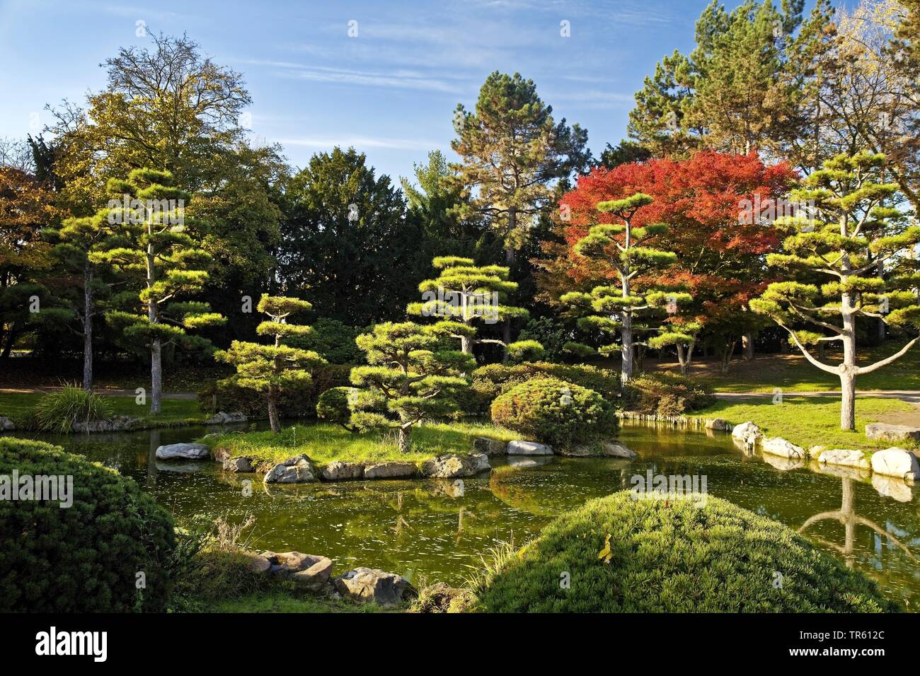 Dusseldorf Japanischer Garten