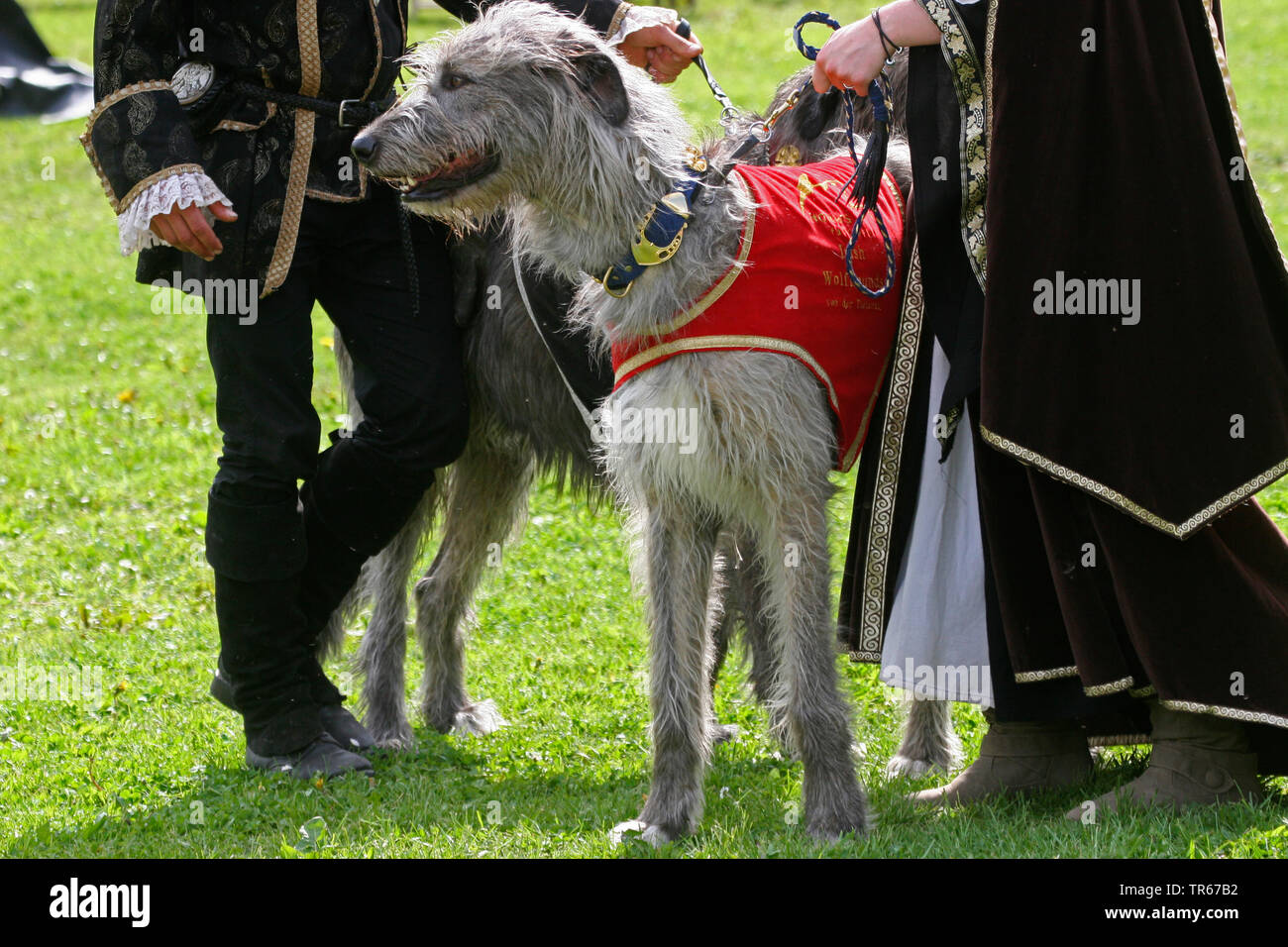 Mittelalterliches ereignis -Fotos und -Bildmaterial in hoher Auflösung – Alamy