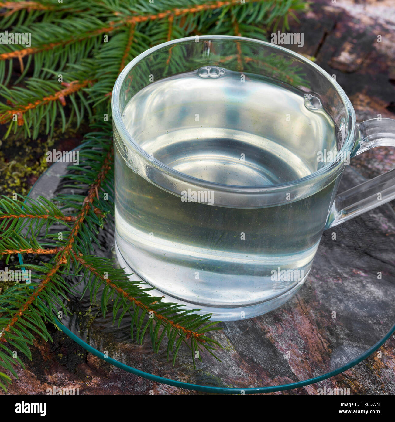 Fichtennadel tee -Fotos und -Bildmaterial in hoher Auflösung – Alamy