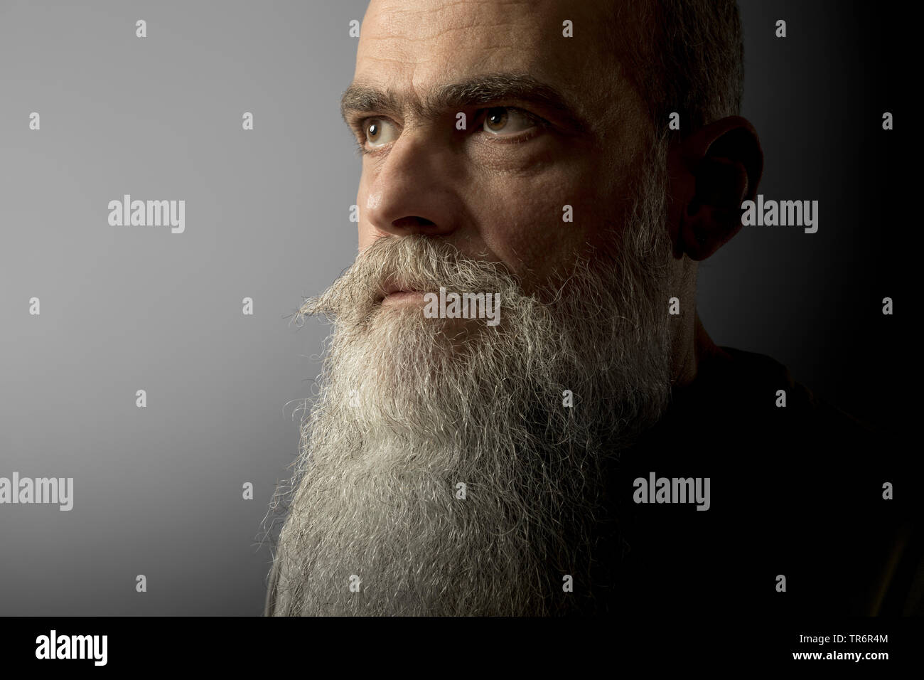 älterer mann grauer bart lang -Fotos und -Bildmaterial in hoher ...