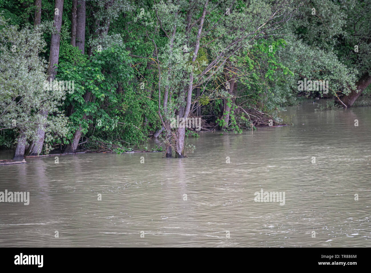 Flaucher At Isar River Stockfotos und -bilder Kaufen - Alamy