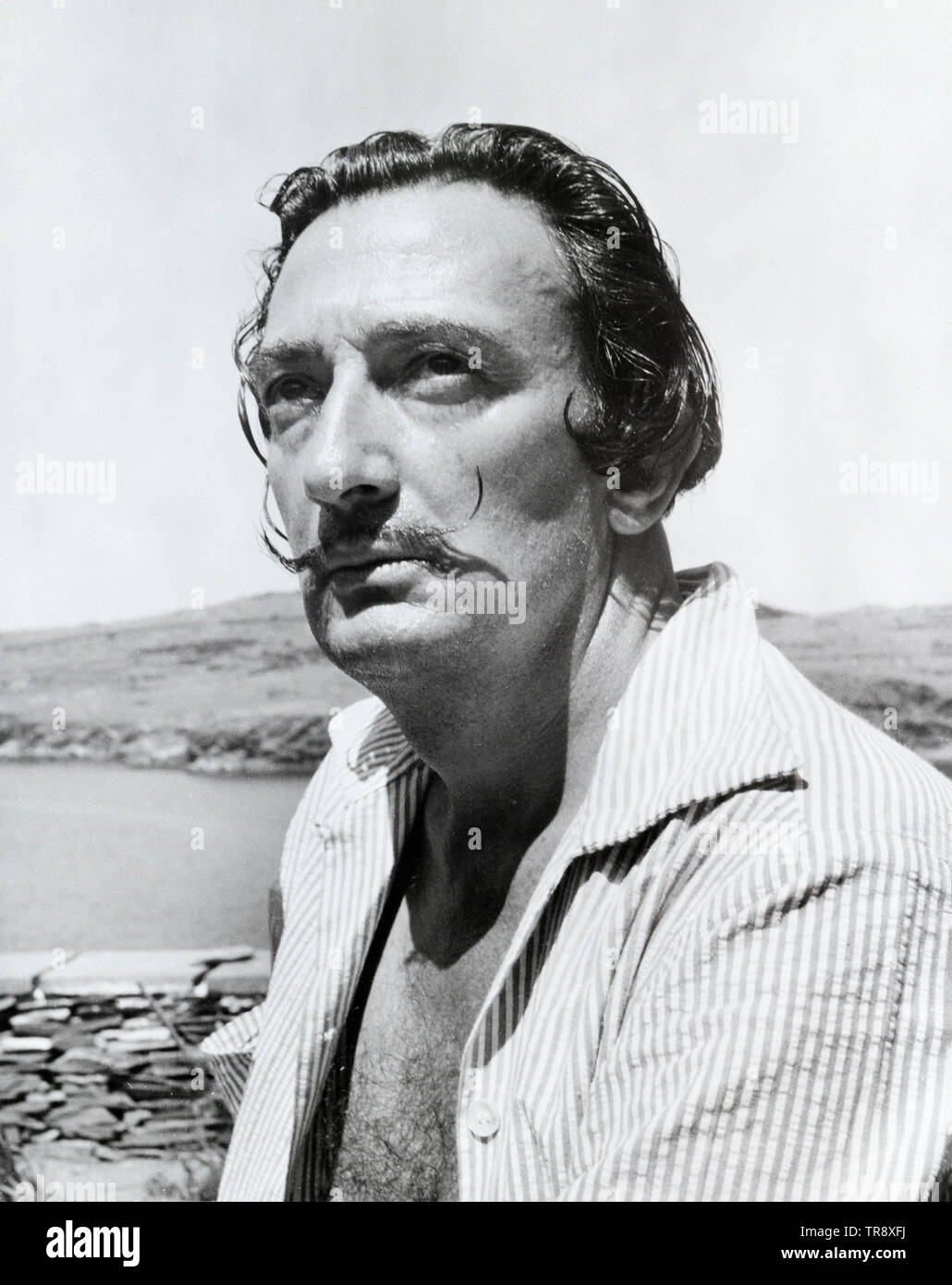 Die Spanischen surrealistischen Maler Salvador Dali Stockfotografie - Alamy