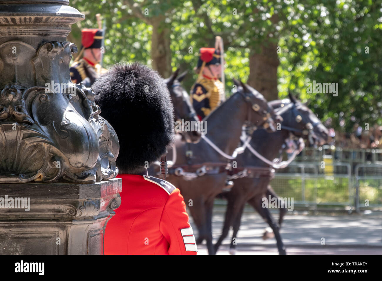 Queen elizabeths pferd -Fotos und -Bildmaterial in hoher Auflösung – Alamy