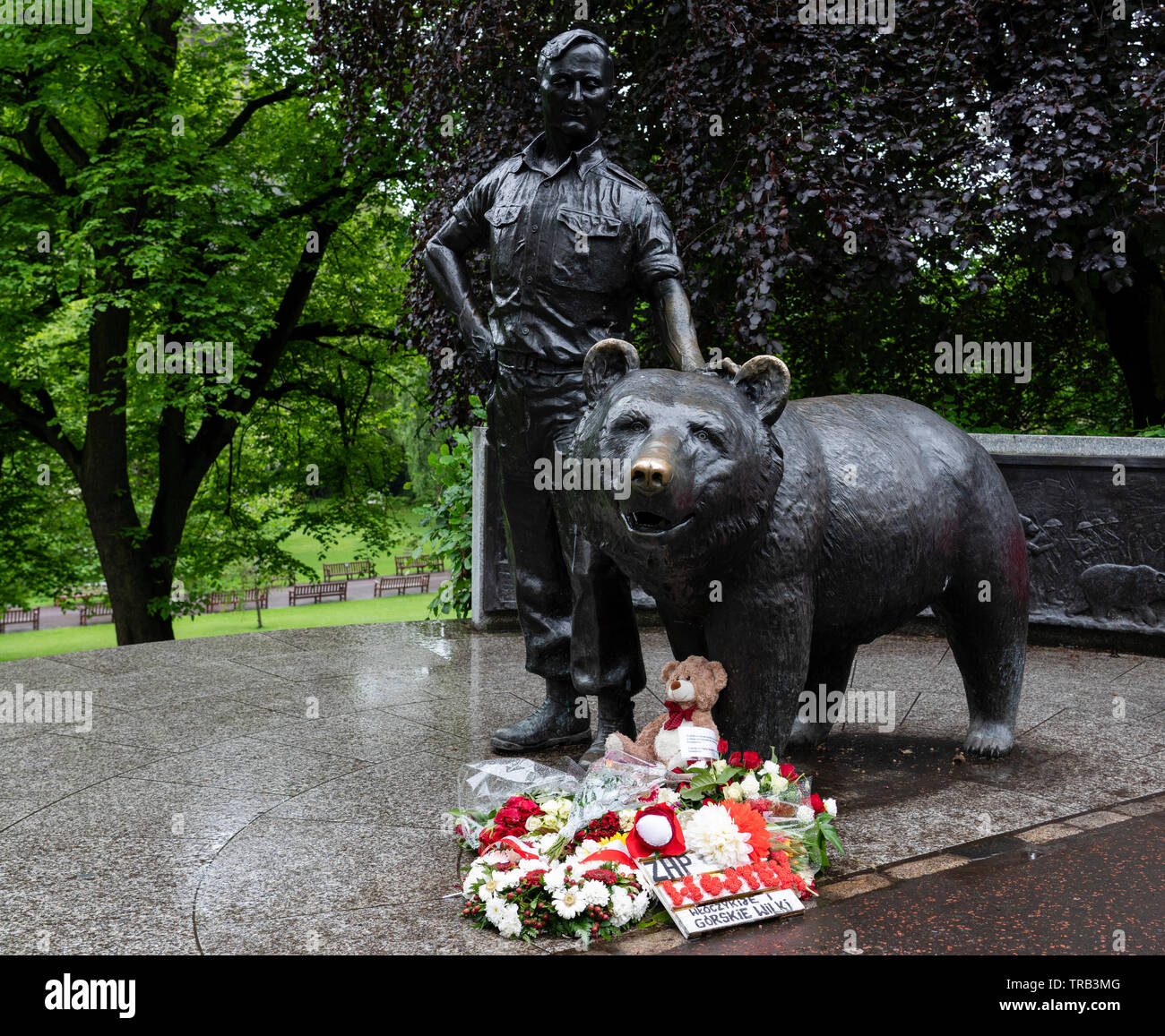 Wojtek bär edinburgh -Fotos und -Bildmaterial in hoher Auflösung – Alamy