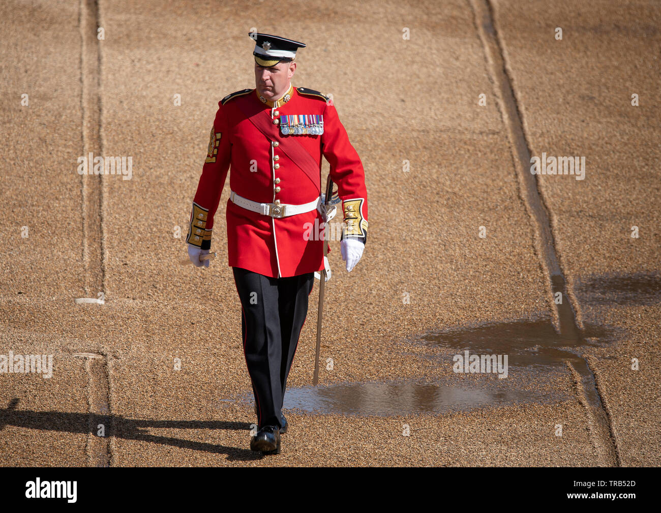 Gsm andrew vern stokes -Fotos und -Bildmaterial in hoher Auflösung – Alamy