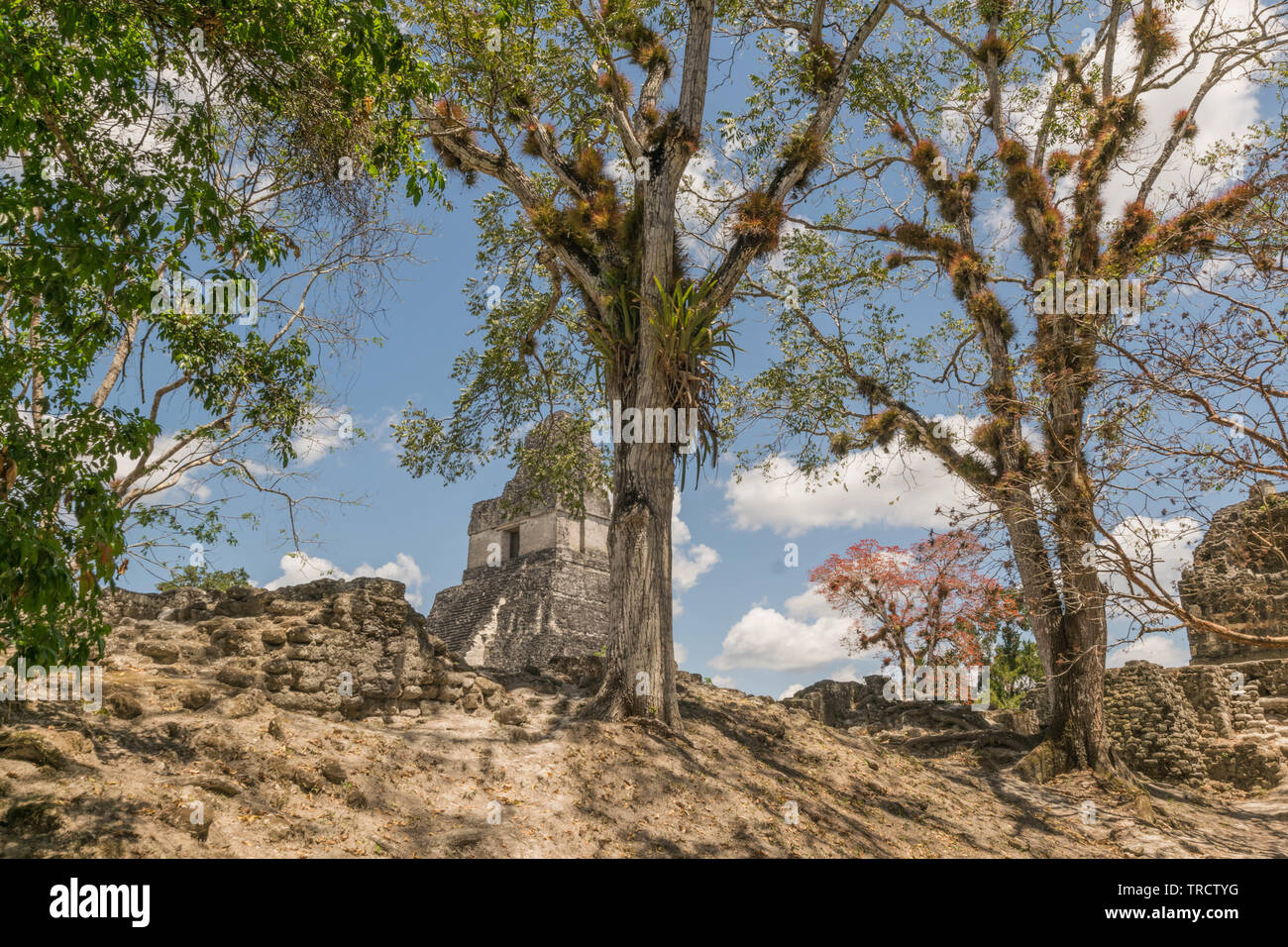 Ruinen Im Urwald Stockfotos und -bilder Kaufen - Alamy