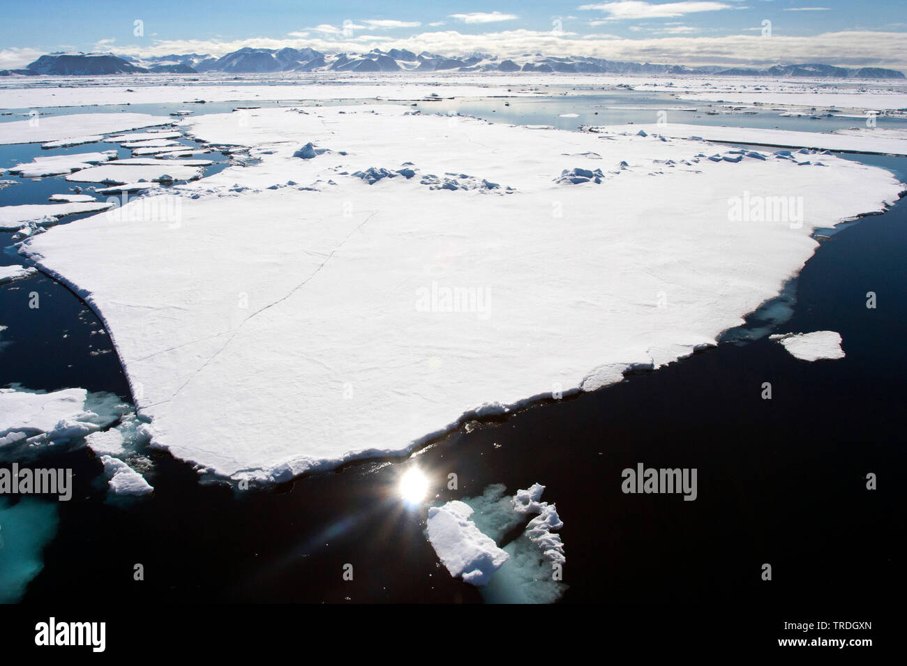 Eisscholle am nordpol -Fotos und -Bildmaterial in hoher Auflösung – Alamy
