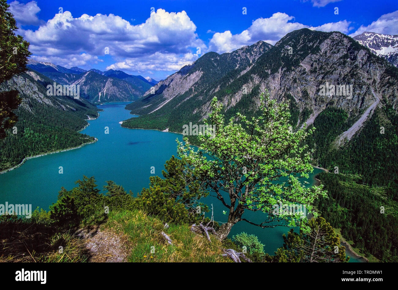 Lake plansee -Fotos und -Bildmaterial in hoher Auflösung – Alamy