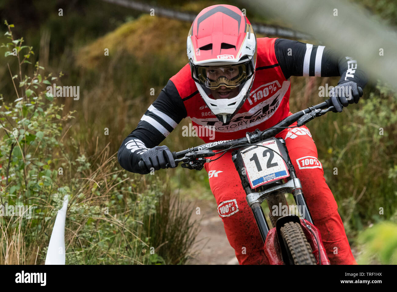 Reece wilson -Fotos und -Bildmaterial in hoher Auflösung – Alamy