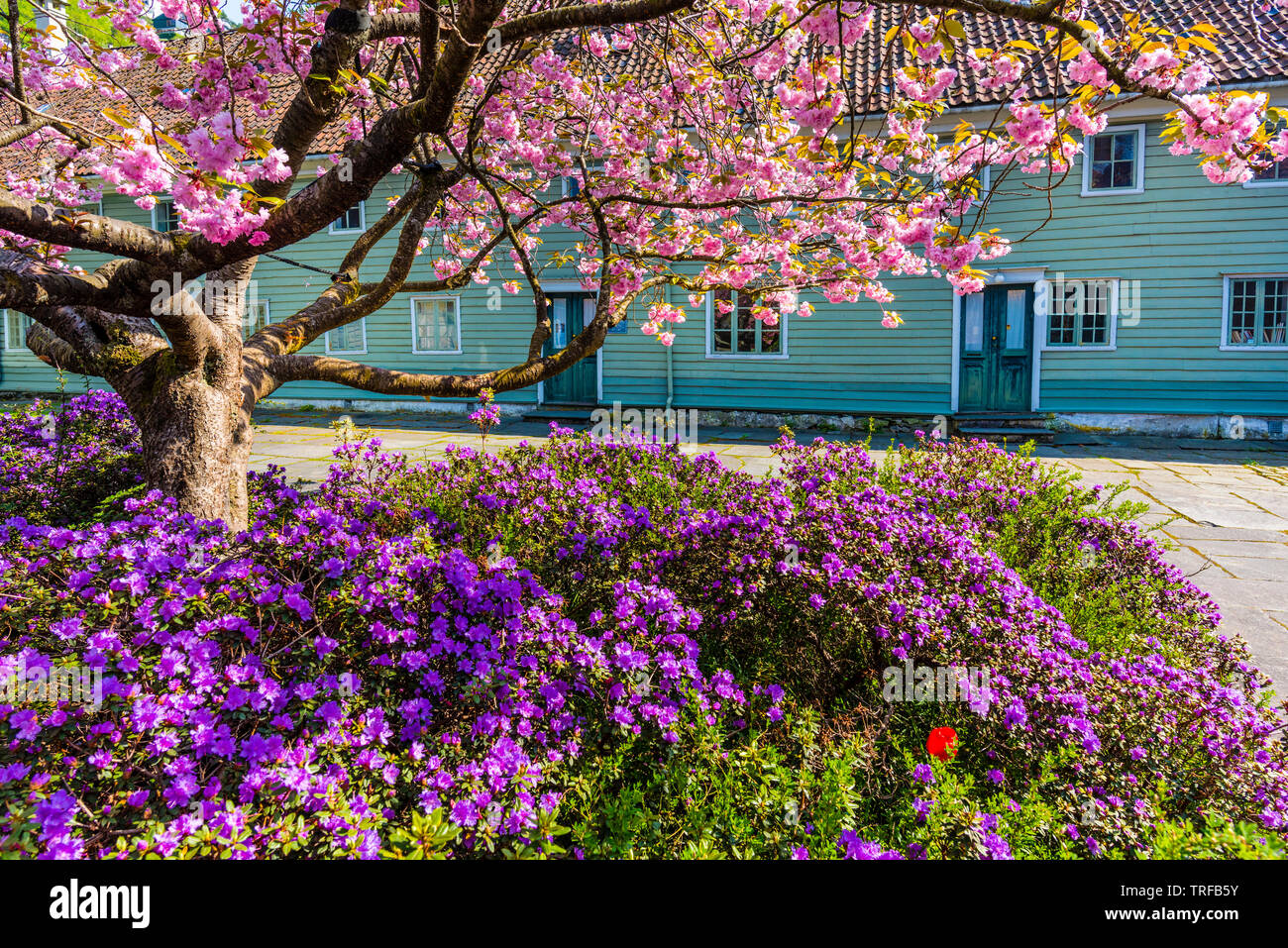 Krankenhausfotos -Fotos und -Bildmaterial in hoher Auflösung – Alamy
