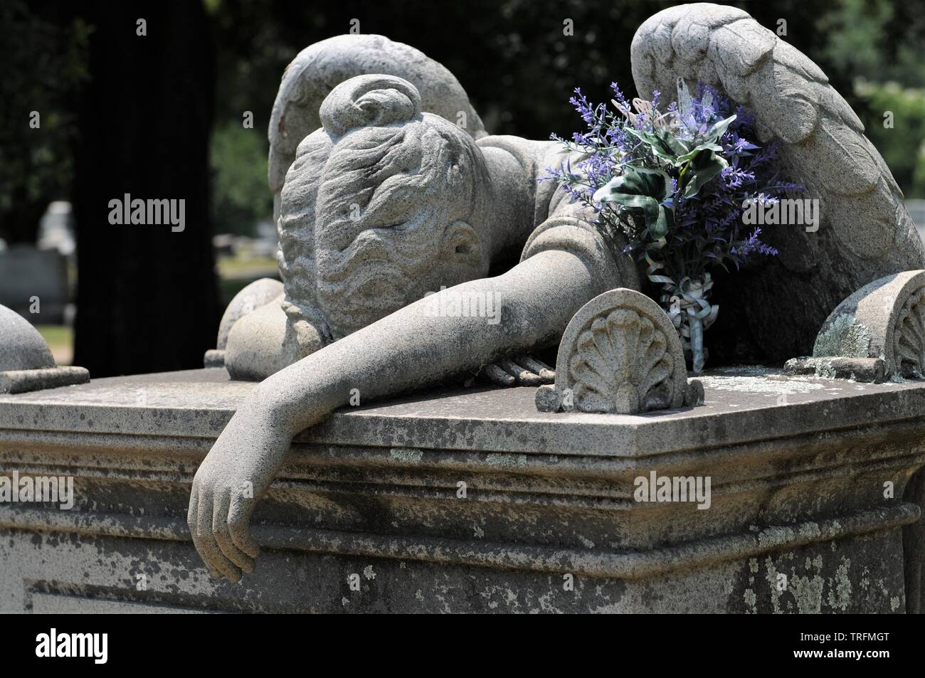 Der trauernde Engel auf der das Grab Marker der Pfr. Thomas C. Wroclaw in der Freundschaft ...