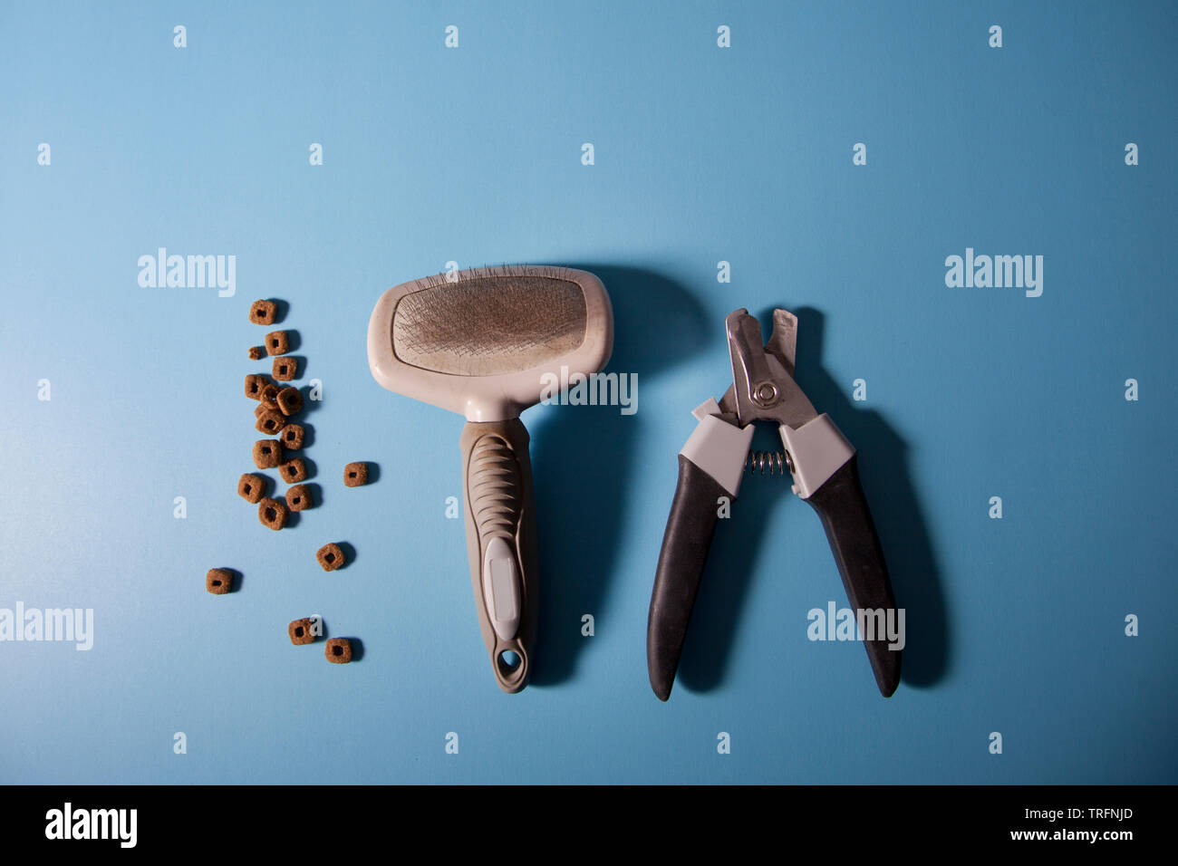 Salon kitty -Fotos und -Bildmaterial in hoher Auflösung – Alamy
