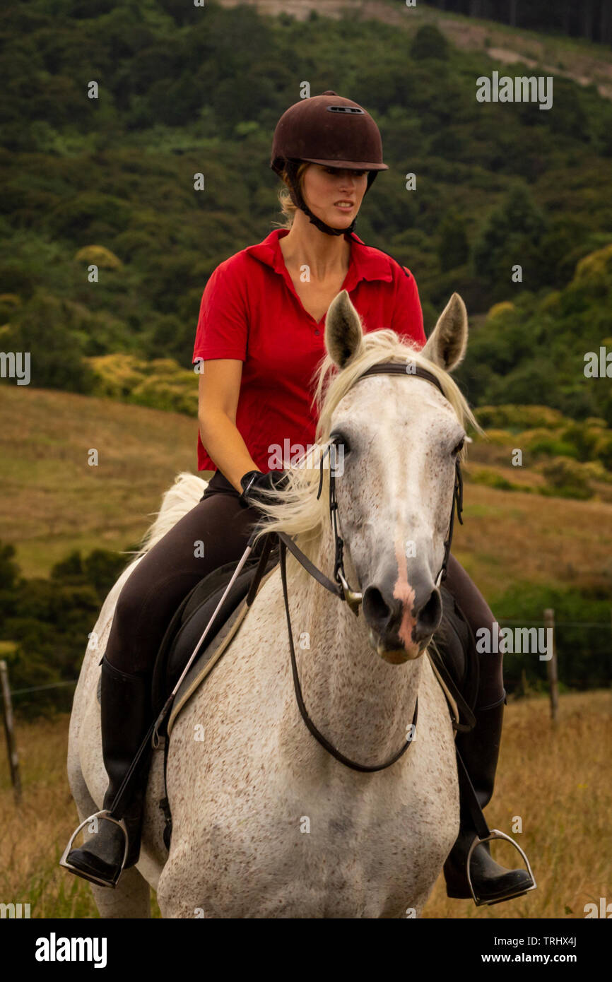 Schöne reiterin mit pferd -Fotos und -Bildmaterial in hoher Auflösung ...