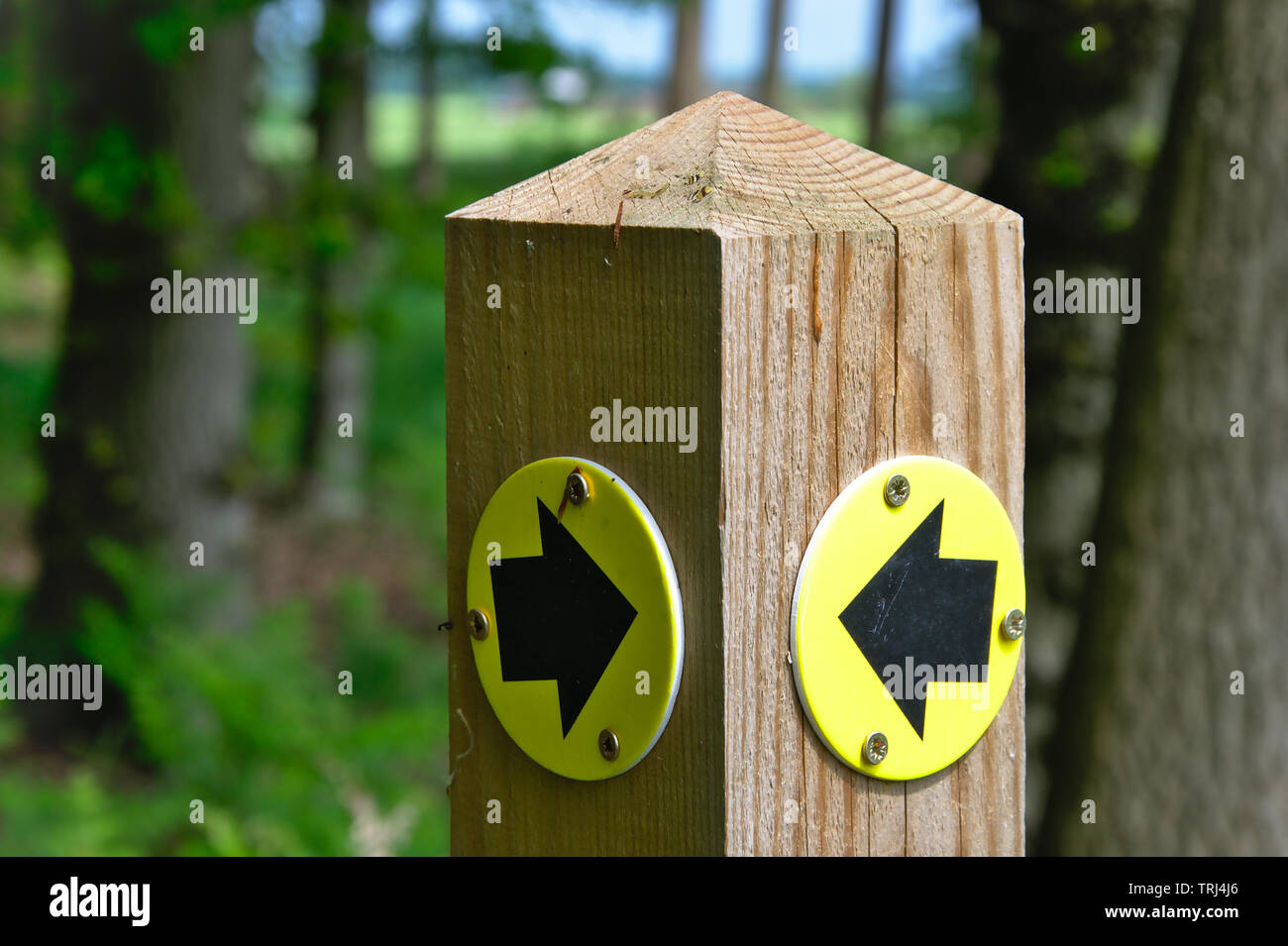 Verwirrende wahl -Fotos und -Bildmaterial in hoher Auflösung – Alamy