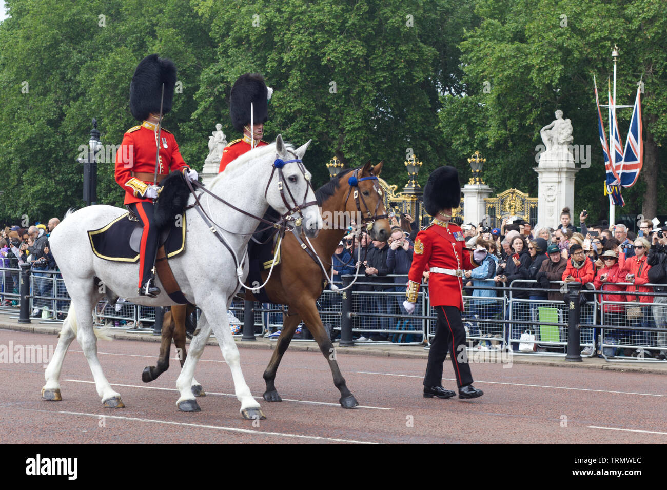 Garde regiment zu fuss -Fotos und -Bildmaterial in hoher Auflösung – Alamy