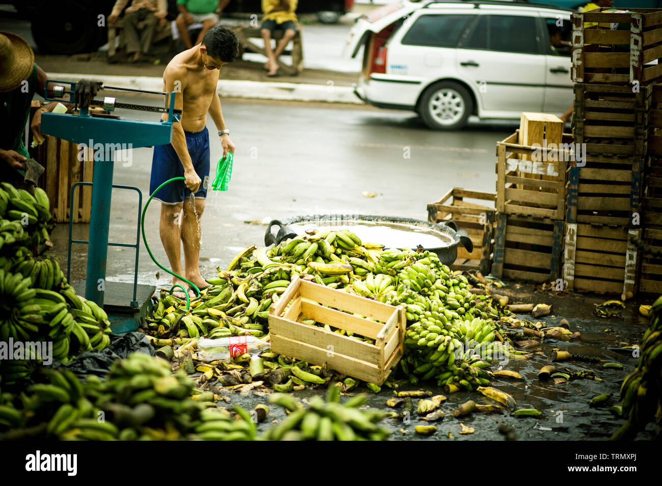 Bananen waschen -Fotos und -Bildmaterial in hoher Auflösung – Alamy
