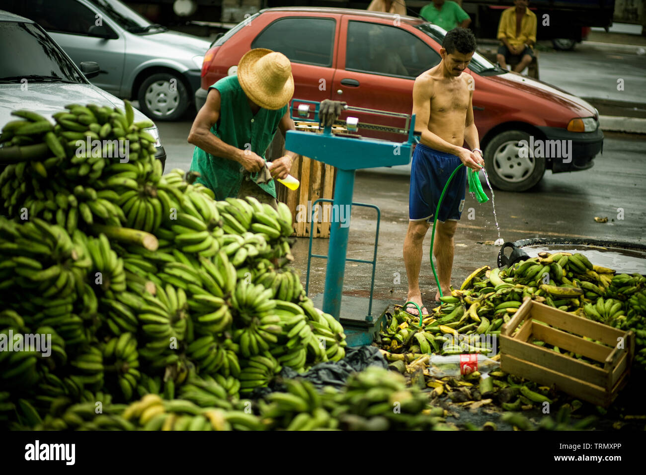 Bananen waschen -Fotos und -Bildmaterial in hoher Auflösung – Alamy