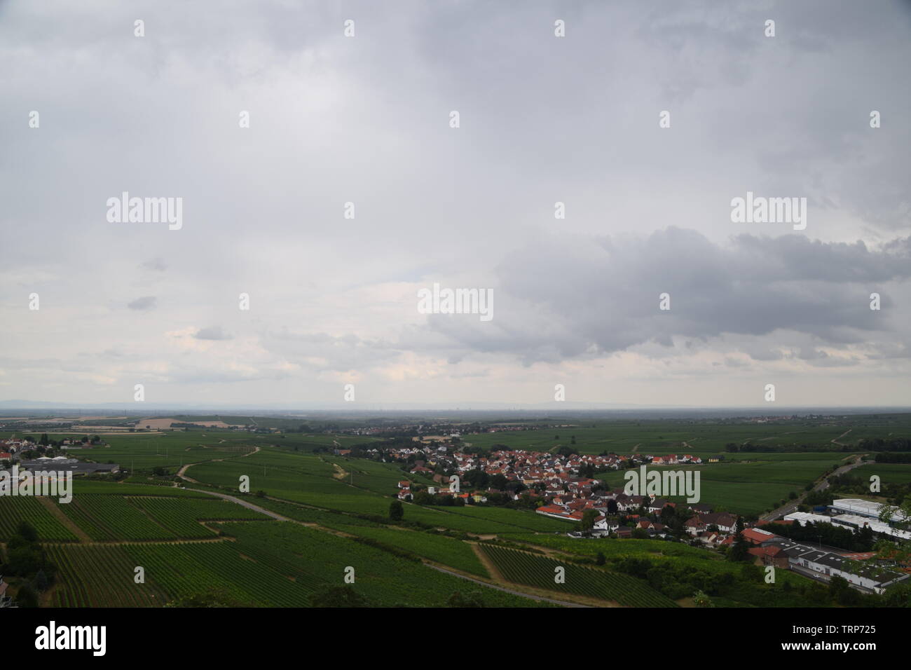 Burg neuleiningen Stockfotos und -bilder Kaufen - Alamy